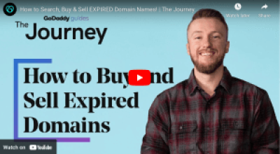 A Guide to Dropcatching: How to Secure Expired Domains - Domain.News