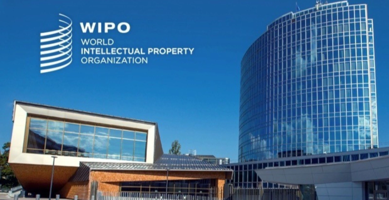 WIPO Report 2024: UDRP Cases Remain at High Levels - Domain.News