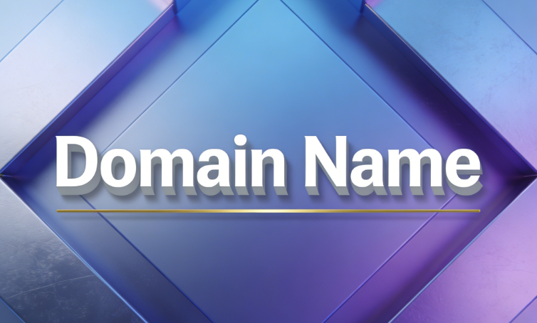 Domain Name Holding, Renewal, and Transfer: A Complete Practical Guide ...